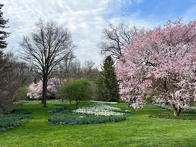 Nature's way of showing off &ndash; Chanticleer makes other gardens look like they're not even trying.