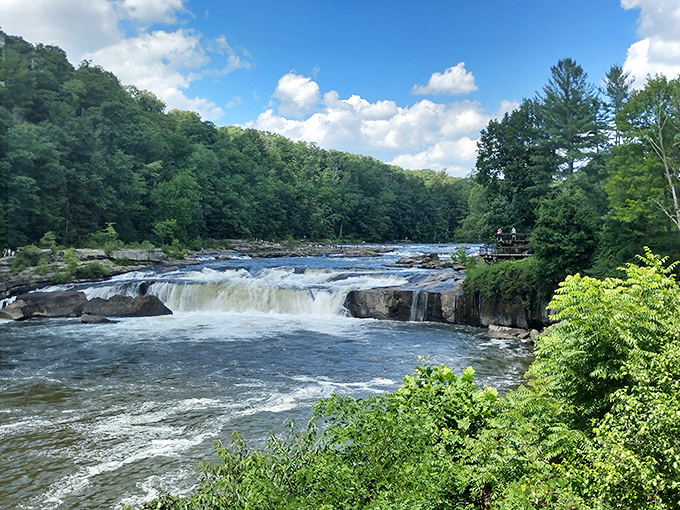 Ohiopyle Falls commands attention as the Youghiogheny River dramatically plunges through the heart of Pennsylvania's hidden natural theater.