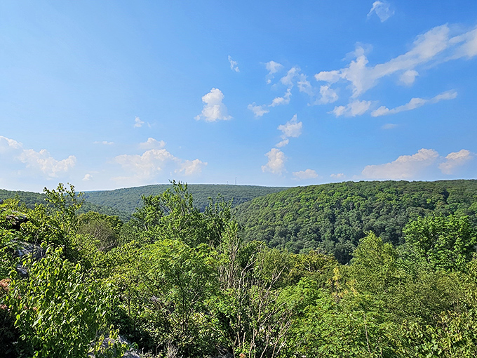 Endless rolling hills of green stretch to the horizon at Laurel Summit, nature's version of an IMAX experience.
