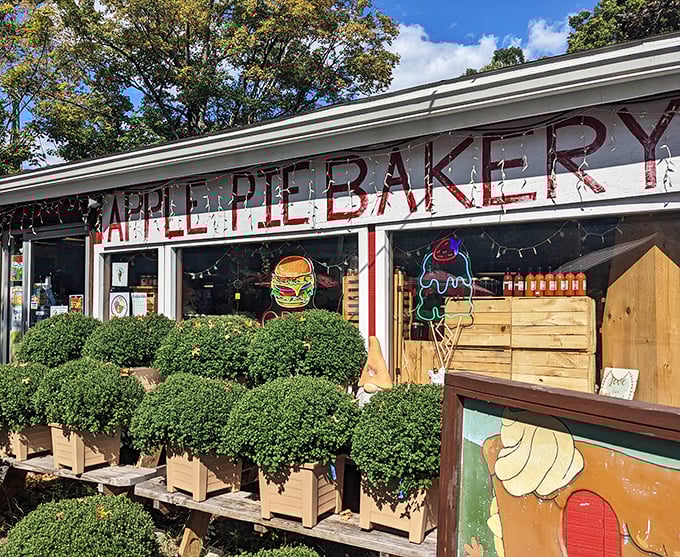 With its hand-painted sign and cheerful neon lights, Apple Pie Bakery radiates small-town charm&mdash;the kind of place where every slice tastes like home.