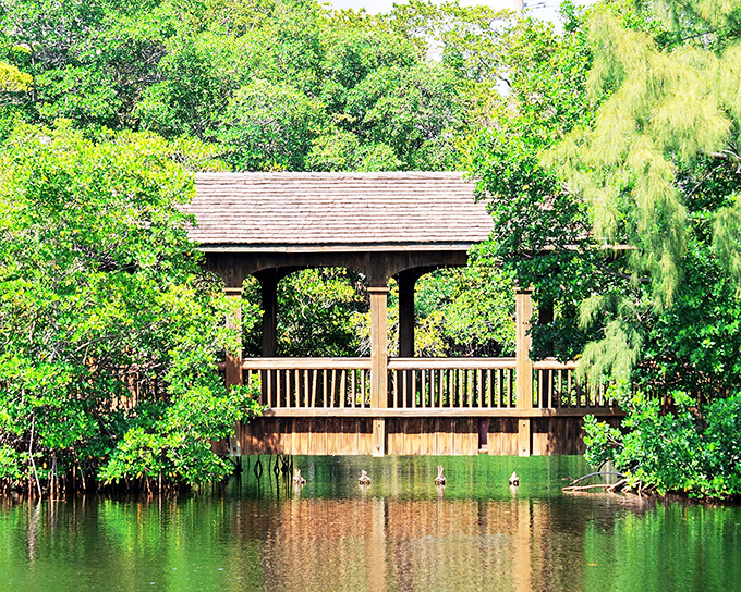 Nestled among lush Florida greenery, Greynolds Park's covered bridge creates perfect reflections in the tranquil waters below.