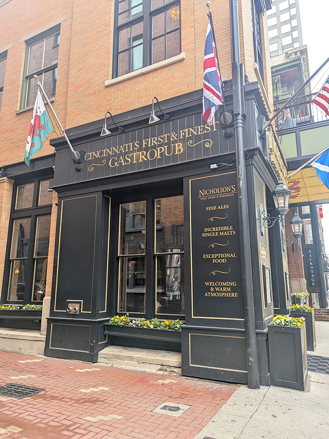 This is what happens when British tradition meets Cincinnati craftsmanship - pure gastropub perfection.