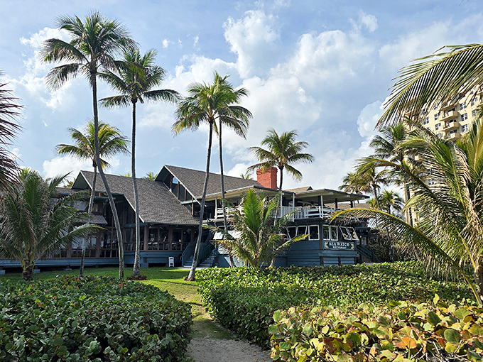 Palm trees stand sentinel around Sea Watch's weathered coastal charm, a postcard-perfect Florida welcome that whispers, "Vacation starts now."