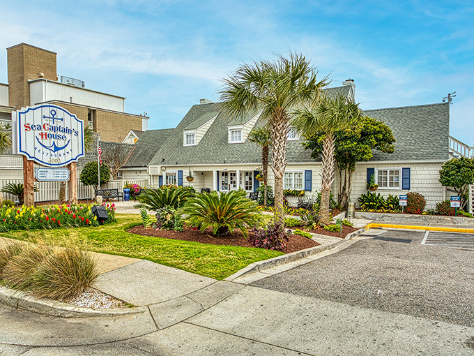 Morning light bathes the Sea Captain's House in golden warmth, transforming this coastal gem into the kind of place where breakfast dreams and ocean views collide.