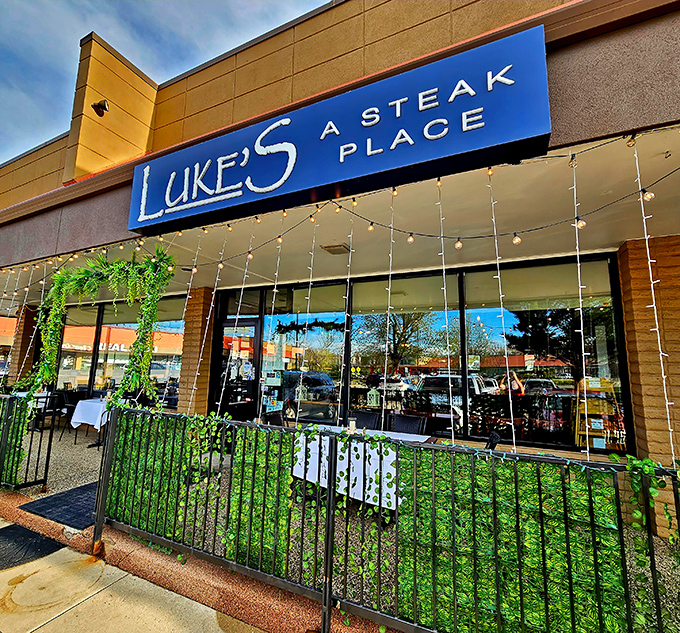 Luke's blue signage beckons from its strip mall home like a lighthouse for hungry souls. The patio's string lights promise casual elegance in suburban Wheat Ridge.