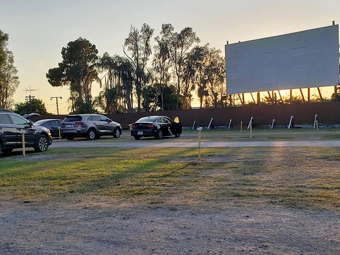 Cars lined up at dusk, their silhouettes framed against the massive white screen&mdash;cinema's most honest relationship with the Florida sunset.