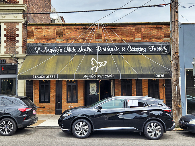 The brick fa&ccedil;ade of Angelo's Nido Italia stands as Cleveland's culinary time machine, transporting diners to an Italian countryside without the passport hassle.