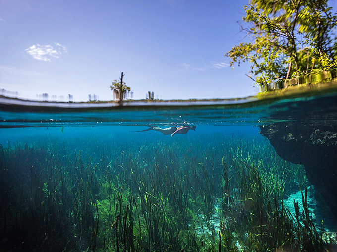 Half above, half below &ndash; this split-shot captures the magical duality of Jackson Blue Springs, where two worlds meet in crystal clarity.