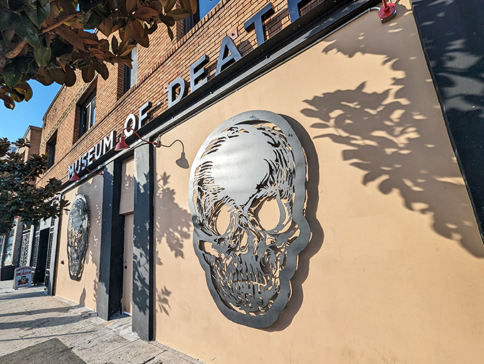 A metal skull sculpture adorns the exterior, casting eerie shadows that serve as nature's own memento mori light show.