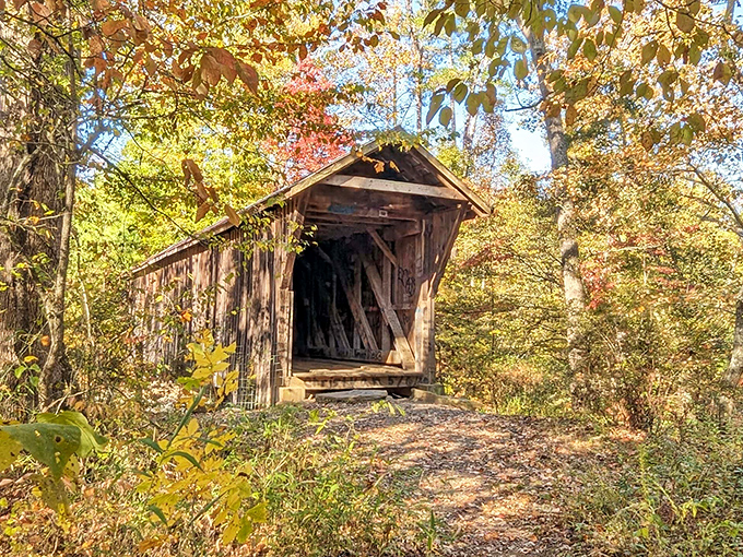 Like a wooden time machine waiting for you to step inside, the Historic Bunker Hill Covered Bridge stands proudly amid autumn's fiery display.
