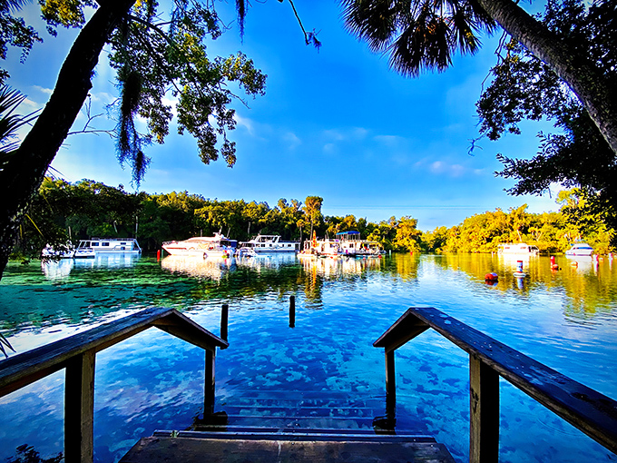 Nature's perfect swimming pool from above – Silver Glen Springs' turquoise waters create a striking contrast against the lush green forest of Ocala National Forest.