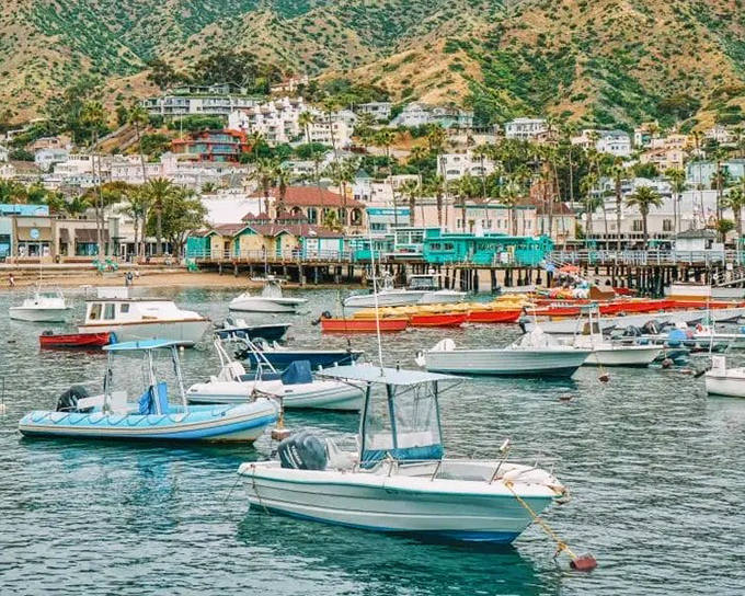 Avalon's harbor sparkles like a Mediterranean daydream, with colorful boats bobbing in crystal waters while the hillside town rises in tiers of white and pastel.