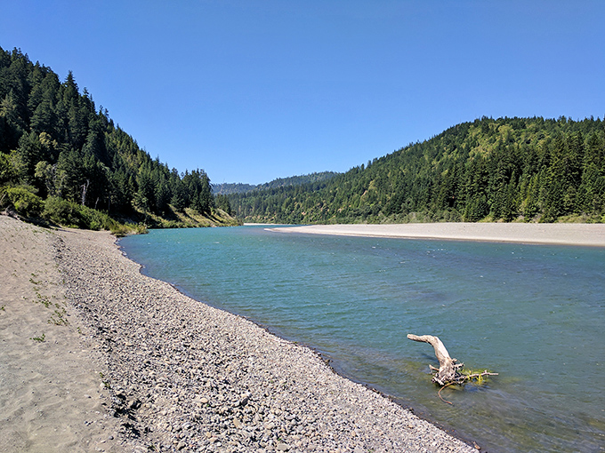 The Eel River carves its ancient path through Humboldt's forested hills, creating perfect swimming spots where time seems to stand still. Nature's own infinity pool, minus the cocktail service.