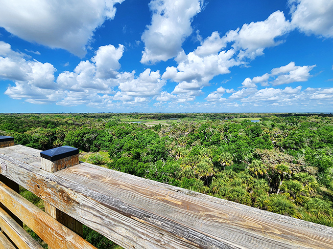 From the observation tower, Florida reveals itself as it truly is&mdash;an endless carpet of green beneath a sky that goes on forever.