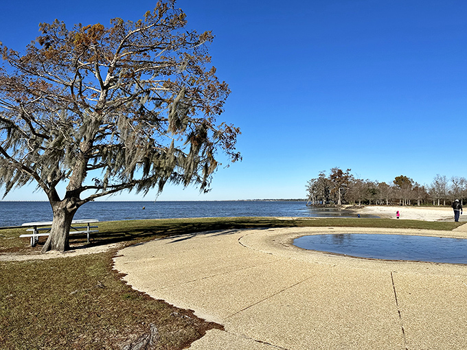 Where Spanish moss meets shoreline magic. Lake Pontchartrain stretches out like nature's welcome mat, inviting you to kick off your shoes and stay awhile.