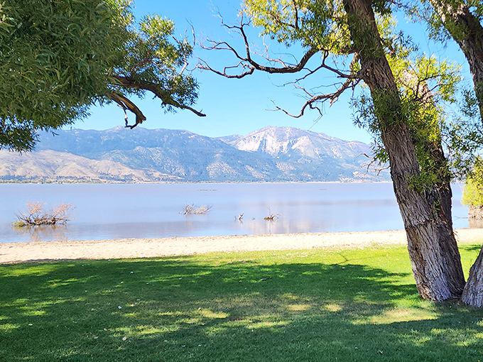 Nature's perfect frame! The Sierra Nevada mountains create a backdrop so stunning it looks Photoshopped, while the tranquil waters of Washoe Lake reflect every detail in high definition.