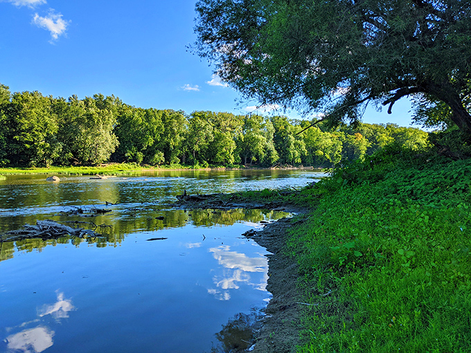 The Maumee River flows past like it's auditioning for a screensaver job, and honestly, it's got our vote for the role.