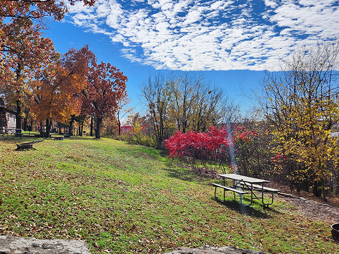 Fall at Tenkiller transforms ordinary picnic spots into front-row seats to nature's most spectacular color show. Those reds and golds deserve a standing ovation!
