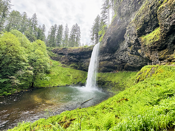 South Falls plunges 177 feet into an emerald pool, creating nature's version of a theater-in-the-round where you're always in the splash zone.