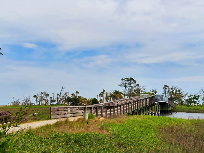 The iconic lighthouse peeks through lush greenery, standing sentinel over a landscape where time slows and worries melt away faster than ice cream in July.