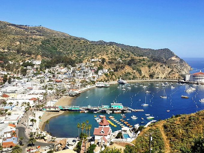 Avalon Harbor unfolds like a Mediterranean daydream, with hillside homes cascading down to meet a bay dotted with boats basking in California sunshine.
