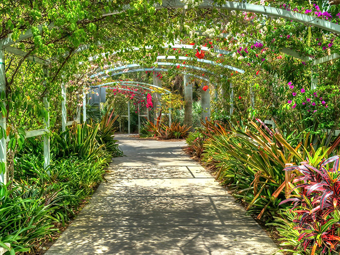 A floral tunnel of dreams! This bougainvillea-draped walkway at Naples Botanical Garden creates the perfect Instagram moment while offering blessed shade from the Florida sun.