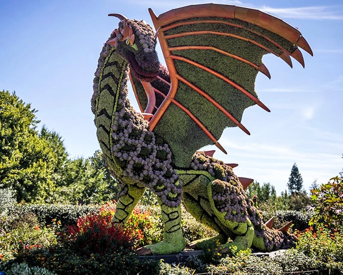 The ultimate garden chess match where knights and queens aren't just pieces&mdash;they're living sculptures ready to checkmate your expectations of what plants can become.