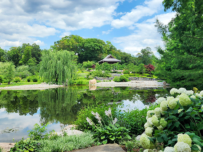 Reflections so perfect you'll wonder which side is real life and which is the garden's dream world.
