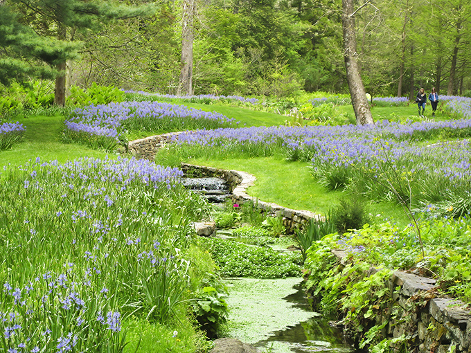 A sea of bluebells creates nature's own version of Monet's palette, with meandering streams that seem to whisper, "Slow down, the emails can wait."