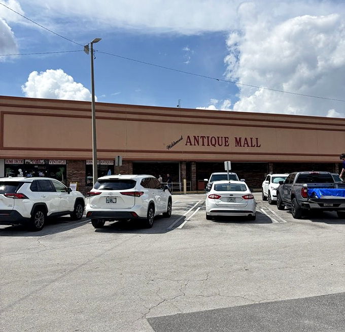 Florida sunshine bounces off the fa&ccedil;ade of this antique hunter's paradise, where cars gather like time travelers preparing for their journey to the past.