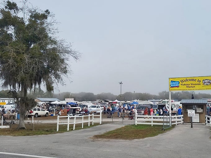 The gateway to treasure hunting paradise! Spanish moss-draped trees welcome bargain seekers to this sprawling outdoor marketplace where Florida's best deals await.