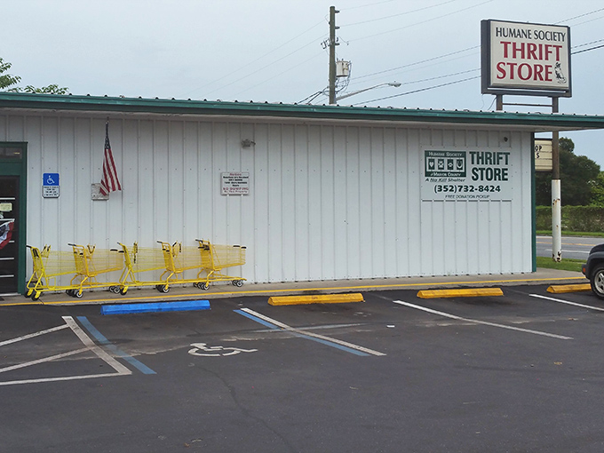 The unassuming exterior hides a treasure trove within. Like finding a secret level in a video game, this thrift store adventure begins here.