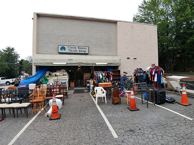 The unassuming exterior of Clock Tower Thrift Shop promises little but delivers a treasure hunter's paradise inside. Orange cones guard furniture finds like sentries at a bargain kingdom.