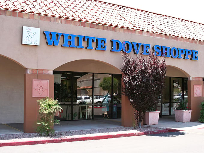 That iconic blue signage beckons like a desert oasis for bargain hunters. The terracotta roof and desert landscaping scream "Scottsdale" in the best possible way.