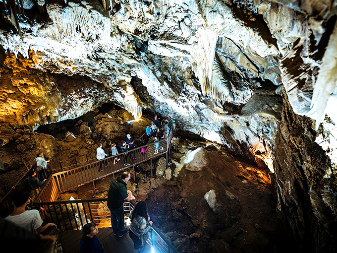 Visitors stand in awe on the walkway as nature's own light show illuminates millions of years of patient artistry. Earth's underground cathedral puts human architecture to shame.