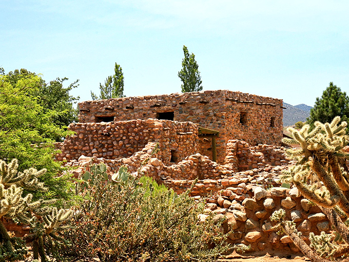 Mother Nature's decorating skills on full display—desert plants frame these 700-year-old walls like they're posing for Architectural Digest.