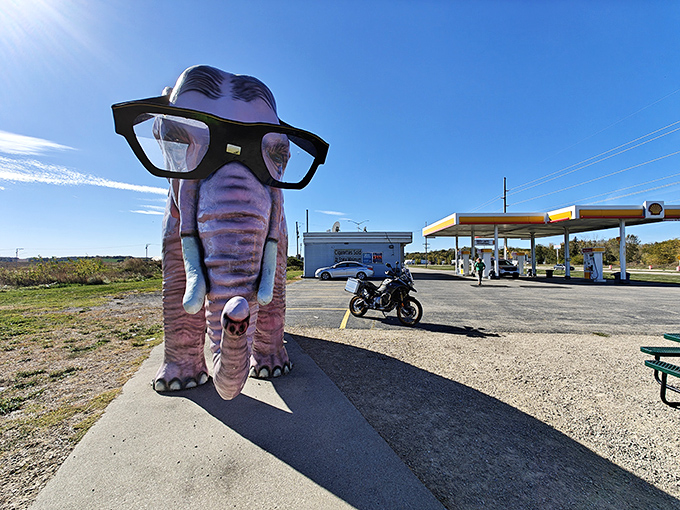 Standing proud against the Wisconsin sky, this bespectacled pink pachyderm has been stopping traffic and starting conversations for decades.