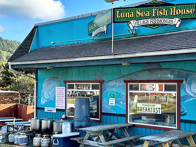 The turquoise beacon of seafood salvation! Luna Sea's exterior promises coastal charm with its vibrant blue walls and whimsical fish murals.