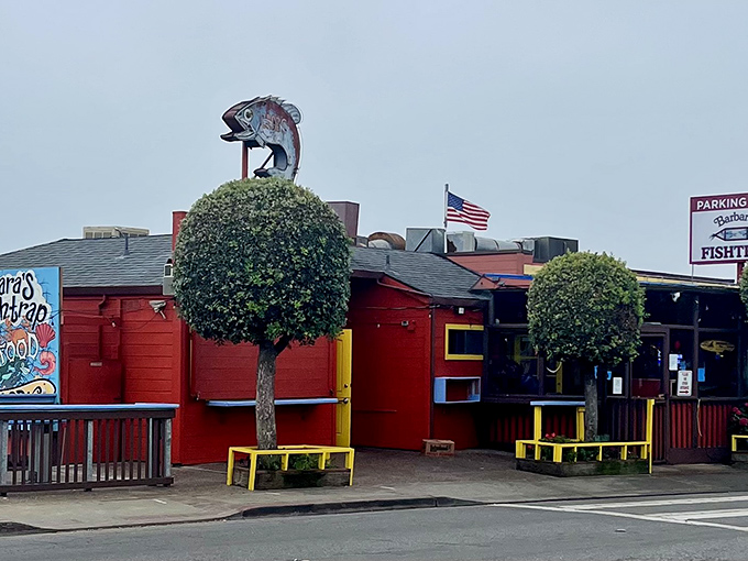 The unmistakable red exterior with its guardian fish sculpture announces itself like a maritime beacon for hungry travelers along Highway 1.