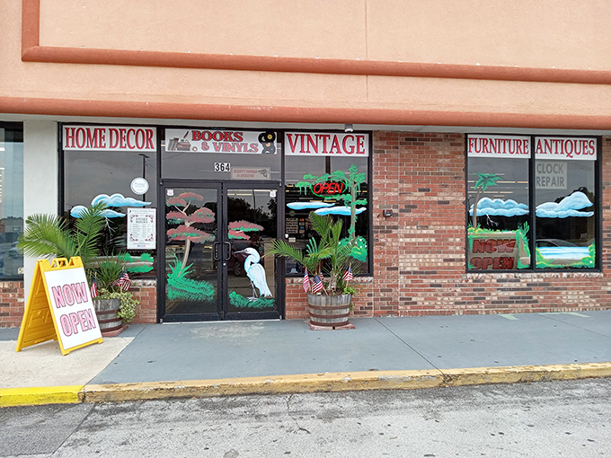 The storefront beckons with hand-painted Florida wildlife scenes, promising treasures inside that are far more exciting than the modest exterior suggests.