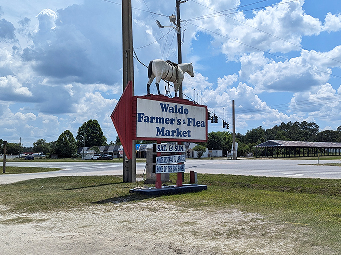 The gateway to treasure-hunting paradise! Waldo&rsquo;s no-frills flea market sign promises adventures the fanciest malls can&rsquo;t touch.