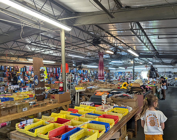 The treasure hunter's paradise stretches before you like a retail archipelago. Yellow and red bins promise discoveries waiting to be unearthed by curious hands.