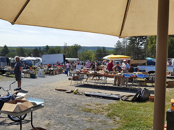 The Pocono Mountains provide a picture-perfect backdrop for treasure hunters at Blue Ridge Flea Market, where one person's castoffs become another's newfound treasures.