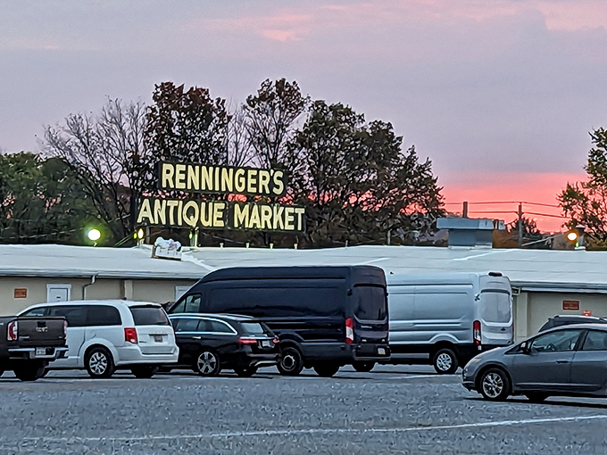 The iconic sign glows against the twilight sky, beckoning treasure hunters like a lighthouse for the bargain-obsessed.