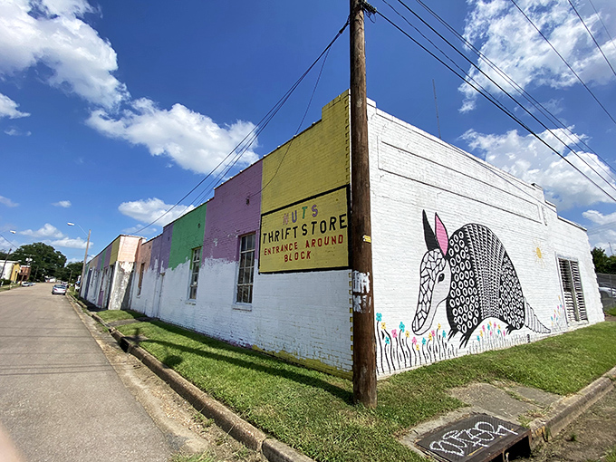 The rainbow-hued exterior of N.U.T.S. stands out like a peacock at a penguin convention, complete with whimsical armadillo mural.