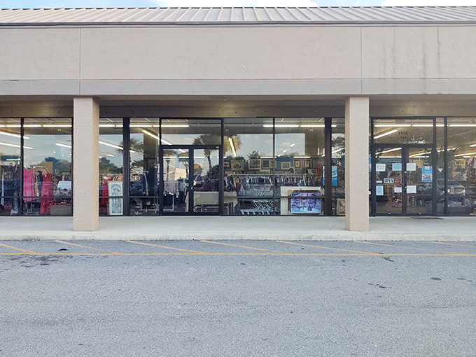 The unassuming exterior hides a wonderland of treasures within, like finding a Michelin-starred restaurant in a strip mall.