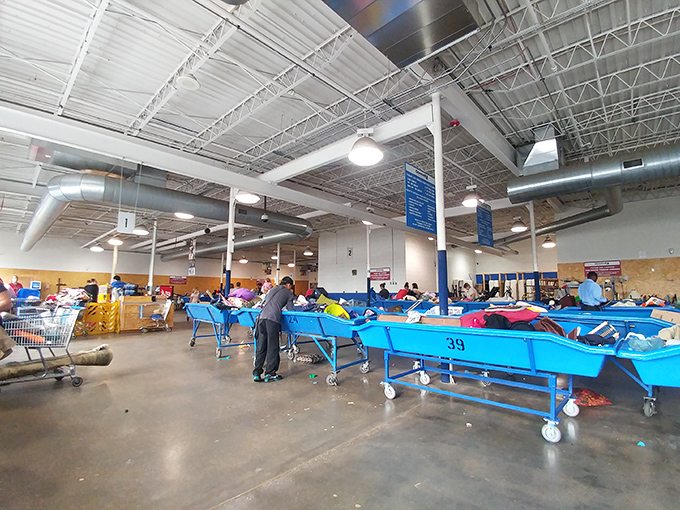 Inside the cavernous space, blue bins stretch as far as the eye can see. This isn't shopping—it's an Olympic sport with bargains as the gold medal.