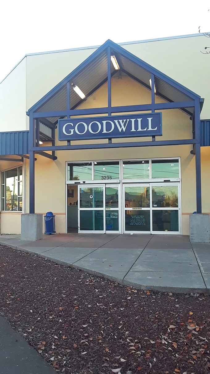 Welcome to the thunderdome of thrift, where blue bins hold mysteries worthy of Indiana Jones.