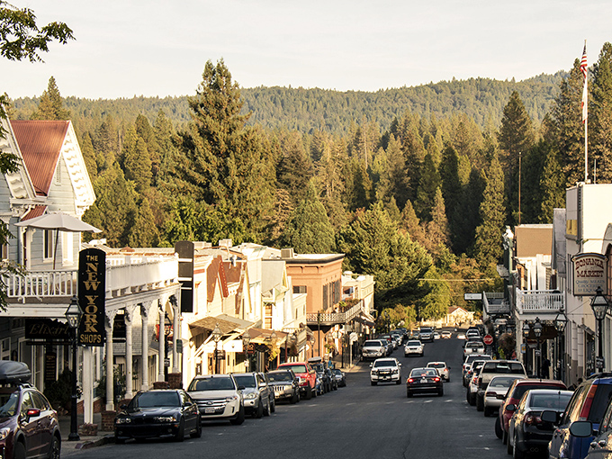 Broad Street stretches before you like a living postcard, where Victorian charm meets Sierra foothills magic. Nevada City's main drag invites exploration.