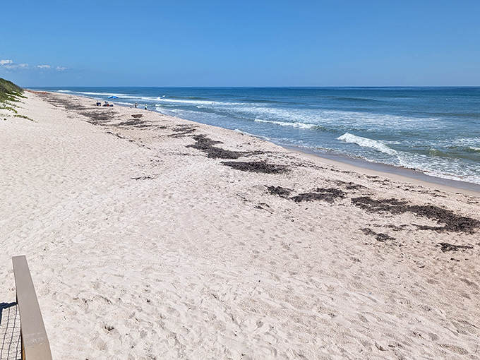 Miles of pristine shoreline stretch before you at Playalinda, where solitude isn't just possible&mdash;it's practically guaranteed.
